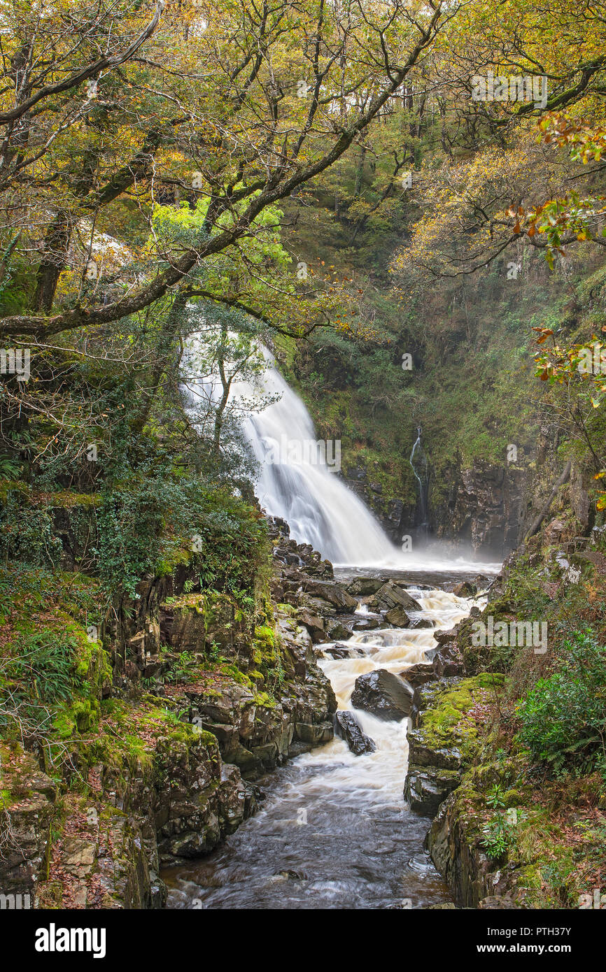 Pistyll y cain waterfall hi-res stock photography and images - Alamy