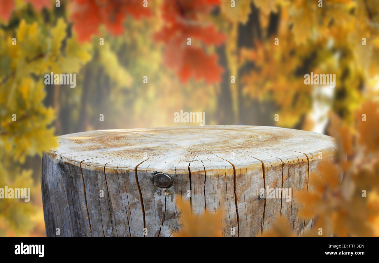 Empty tree trunk for display montags Stock Photo - Alamy