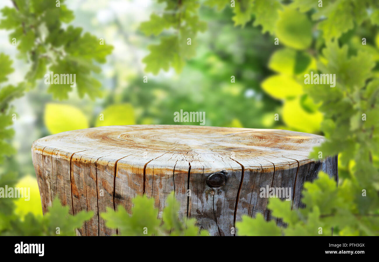 Empty tree trunk for display montages Stock Photo - Alamy