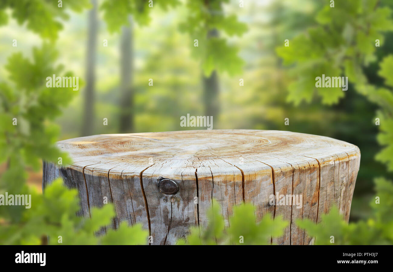 Empty tree trunk for display montags Stock Photo - Alamy