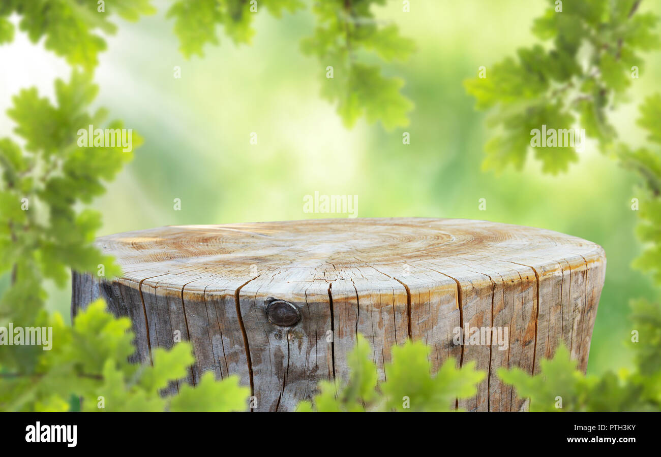 Empty tree trunk for display montags Stock Photo - Alamy