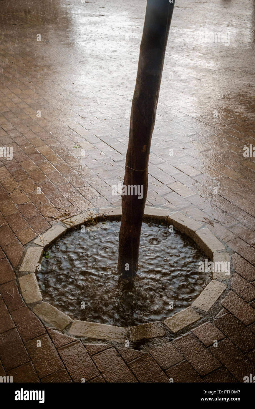 Torrential rain hi-res stock photography and images - Alamy