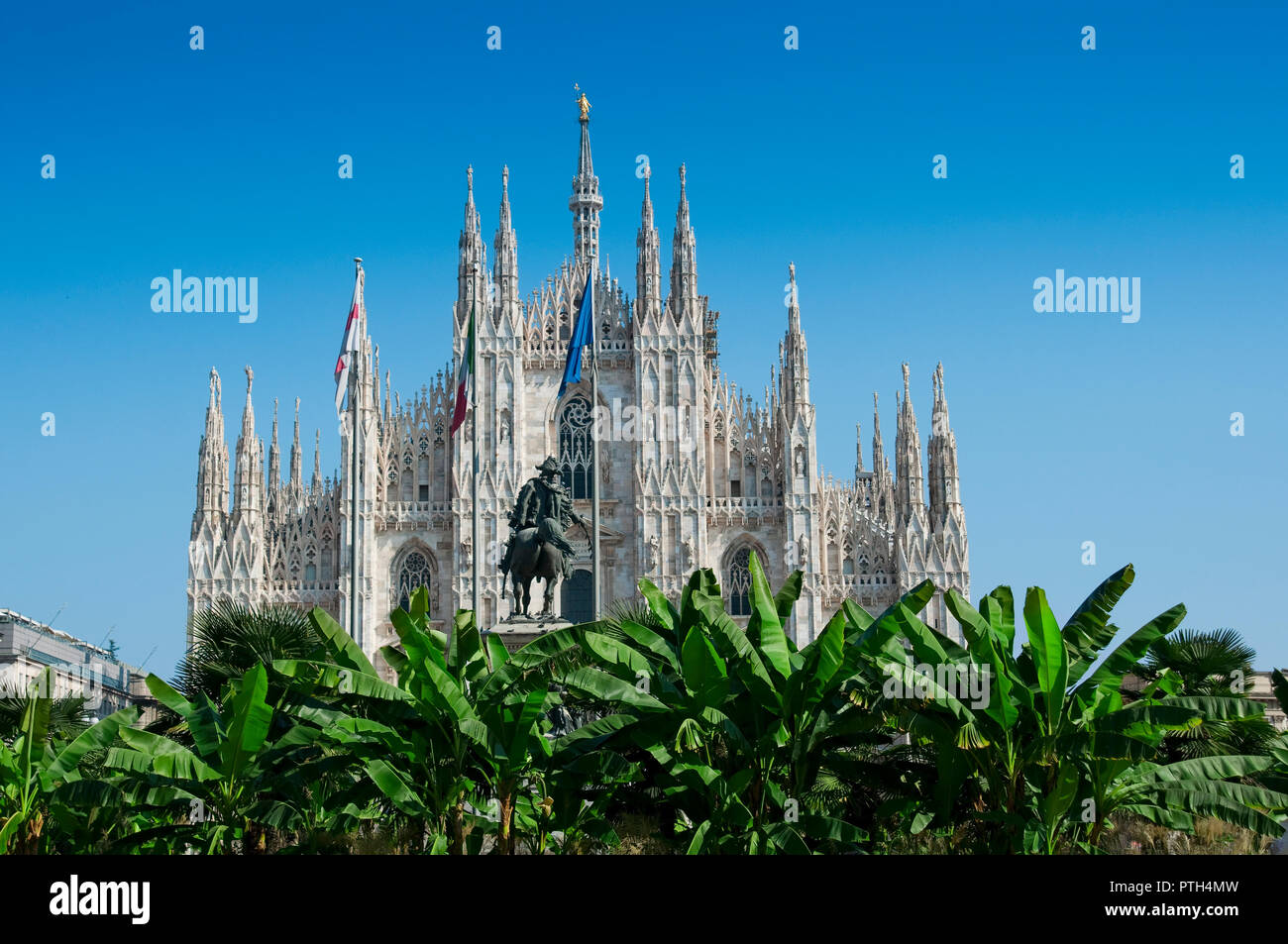 Duomo palm trees hi-res stock photography and images - Alamy