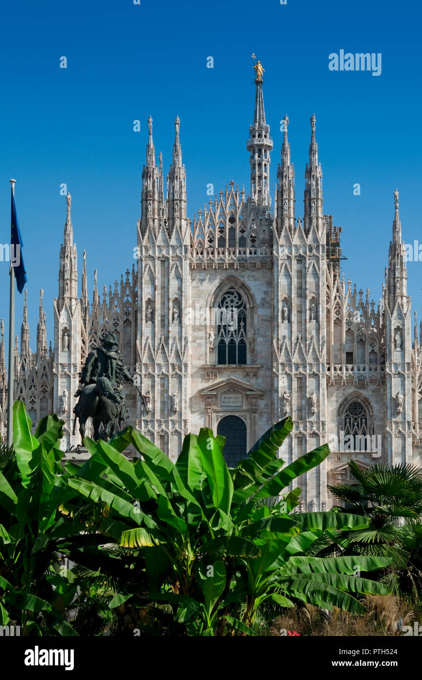 Tree iconography hi-res stock photography and images - Alamy