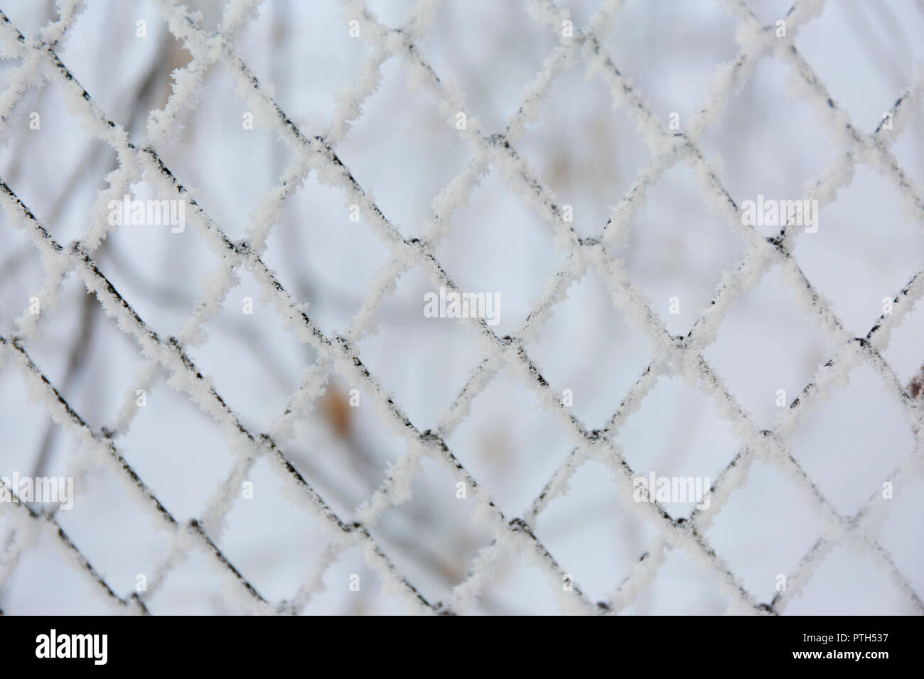 Frozen lattice fence. Snow covered grid. Winter hoarfrost Stock Photo ...