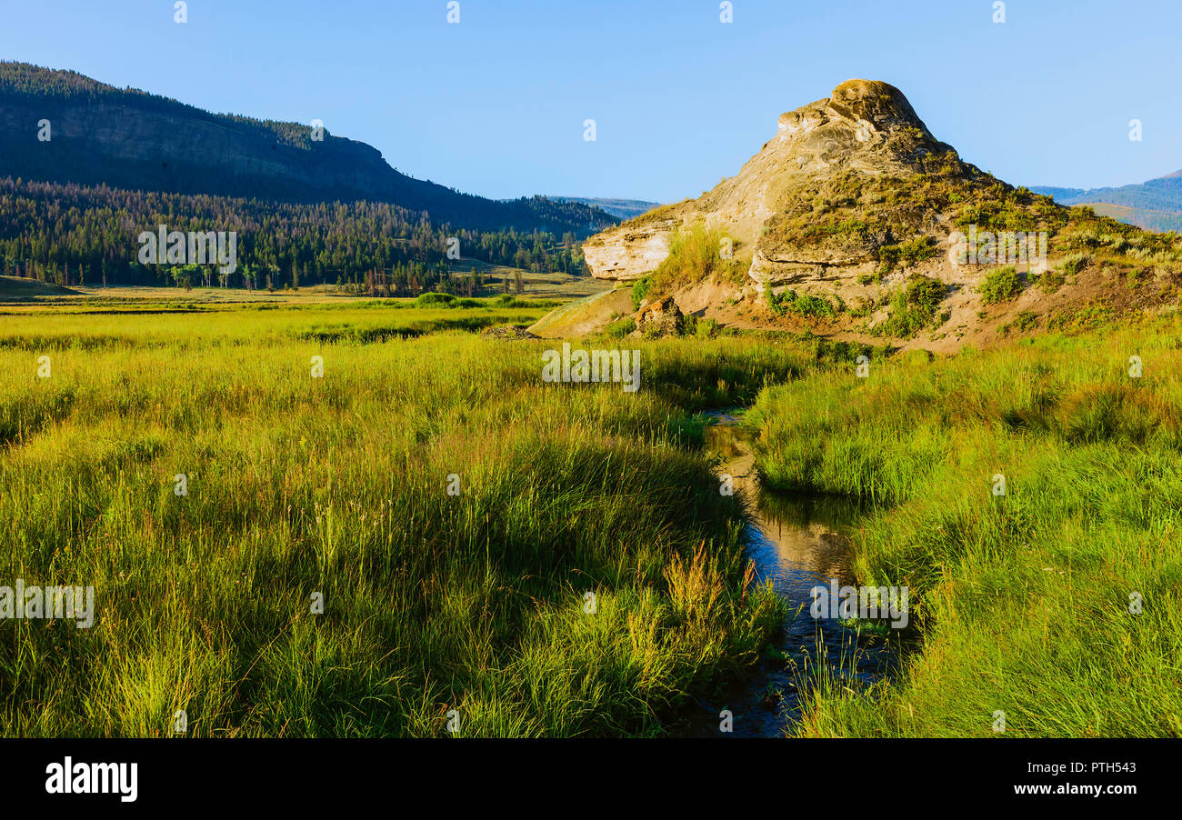 A soda butte, travertine, extinct geyser in the heart of Yellowstone ...