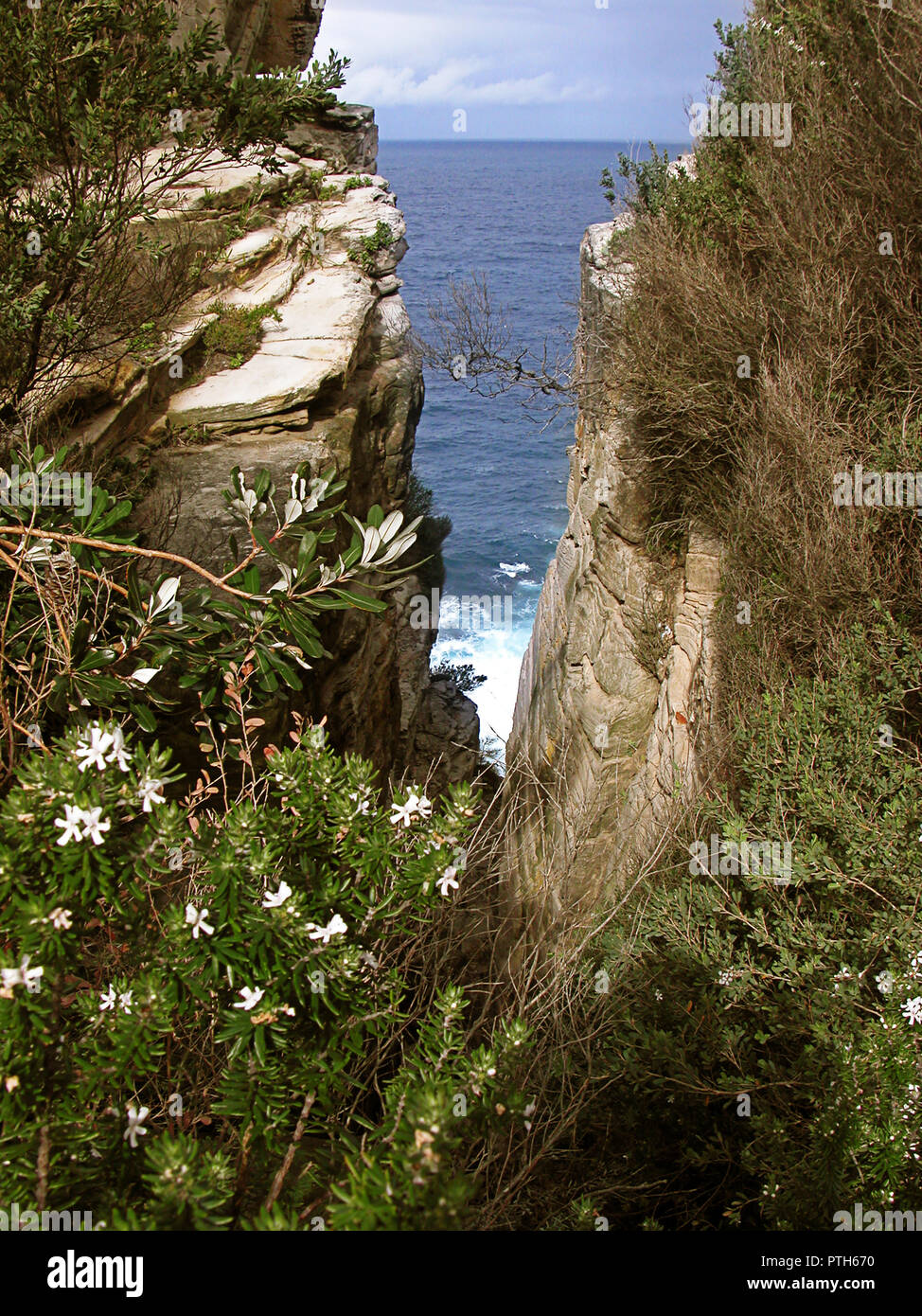 Steep cleft in the cliff-face at the Gap, Watsons Bay, known as Jacob's ...