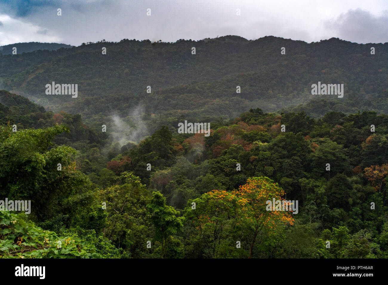 Trinidad northern range hi-res stock photography and images - Alamy