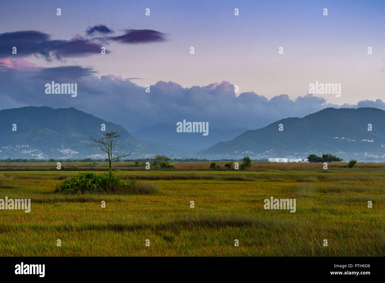 Caroni trinidad hi-res stock photography and images - Alamy