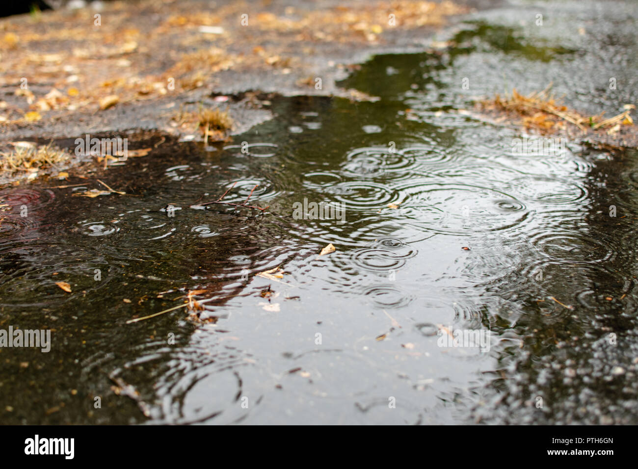 Rain raining street splash hi-res stock photography and images - Alamy