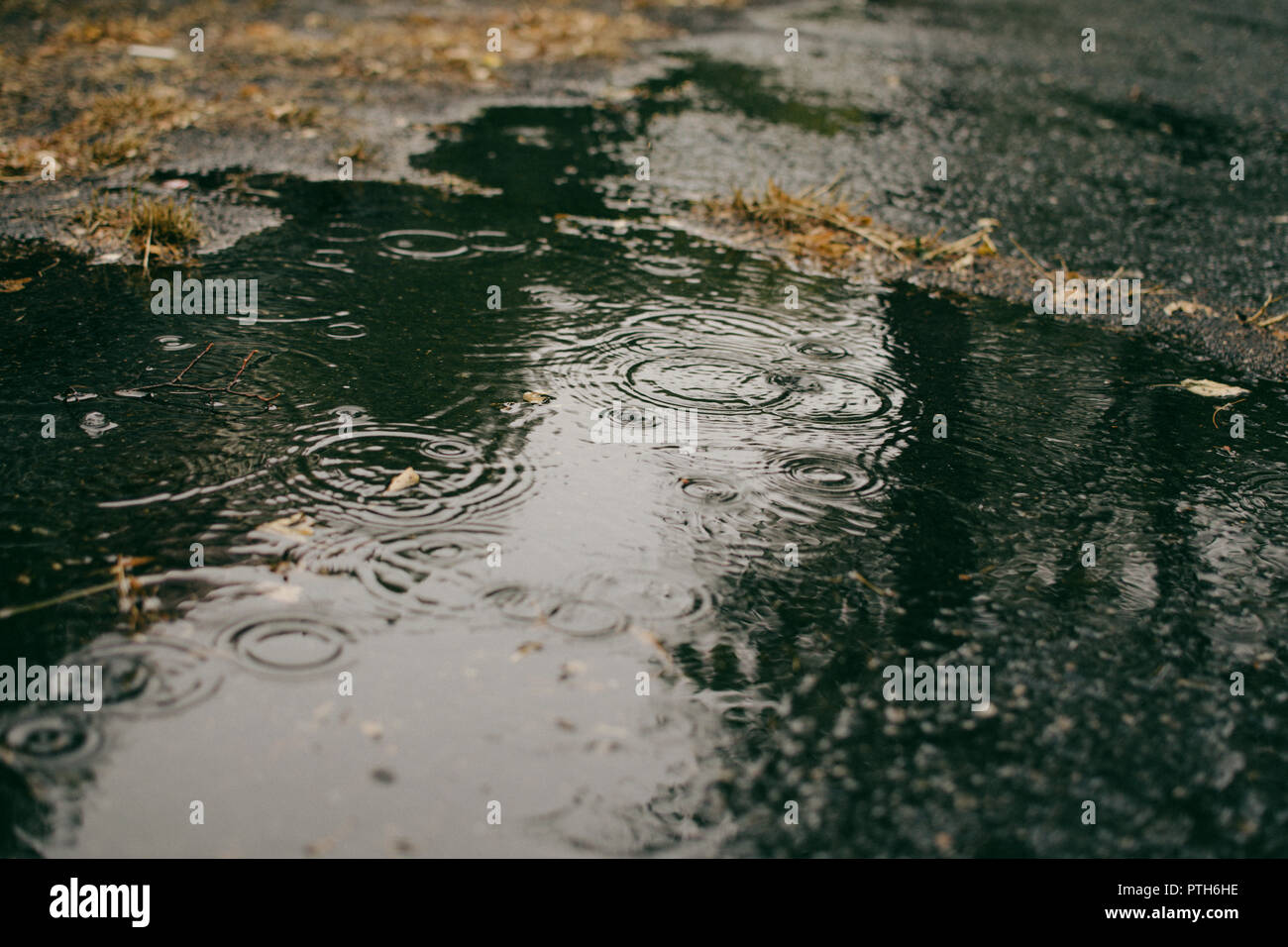 Puddle water on wet street Stock Photo - Alamy