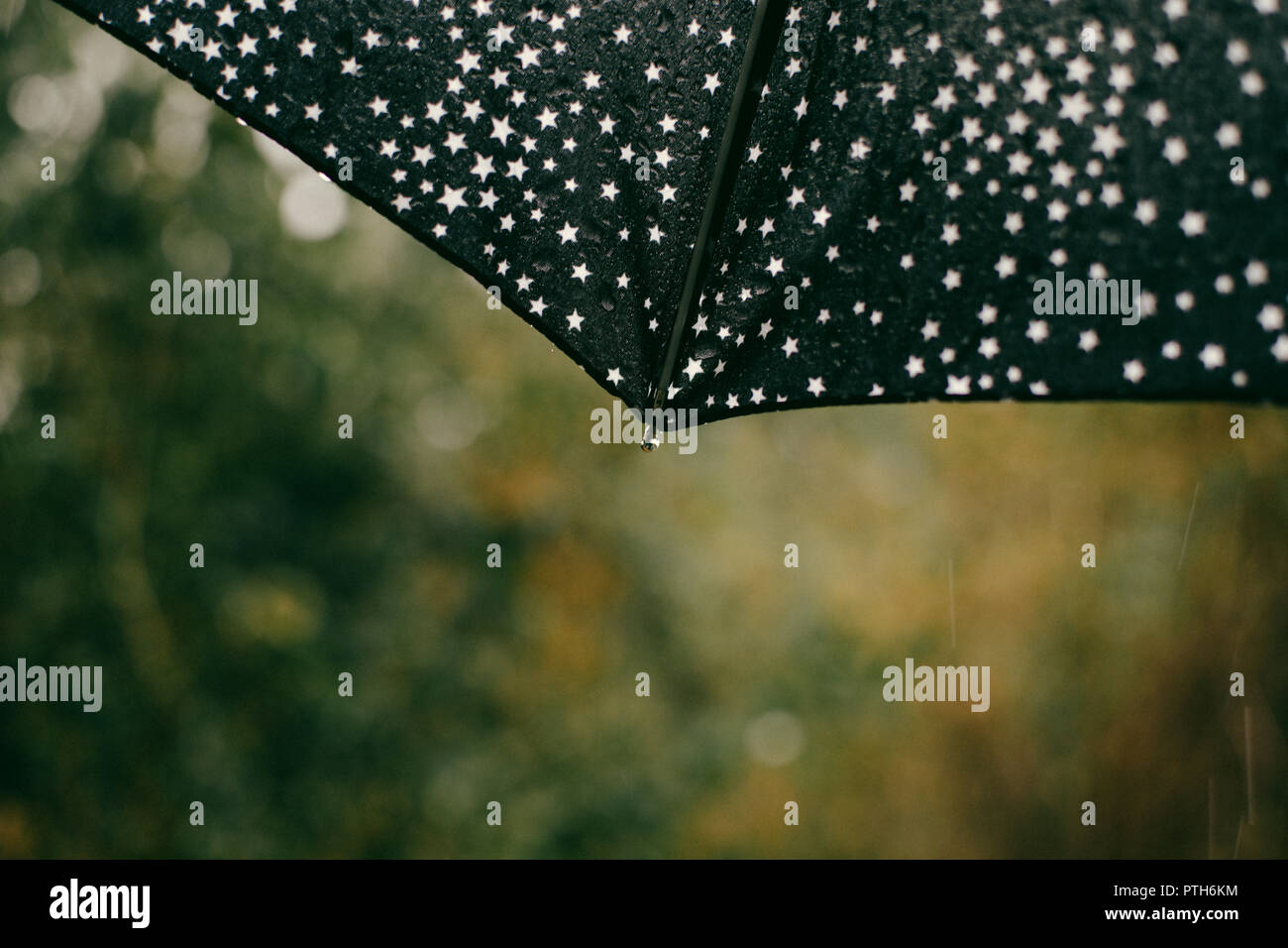 Come under my Umbrela Stock Photo - Alamy