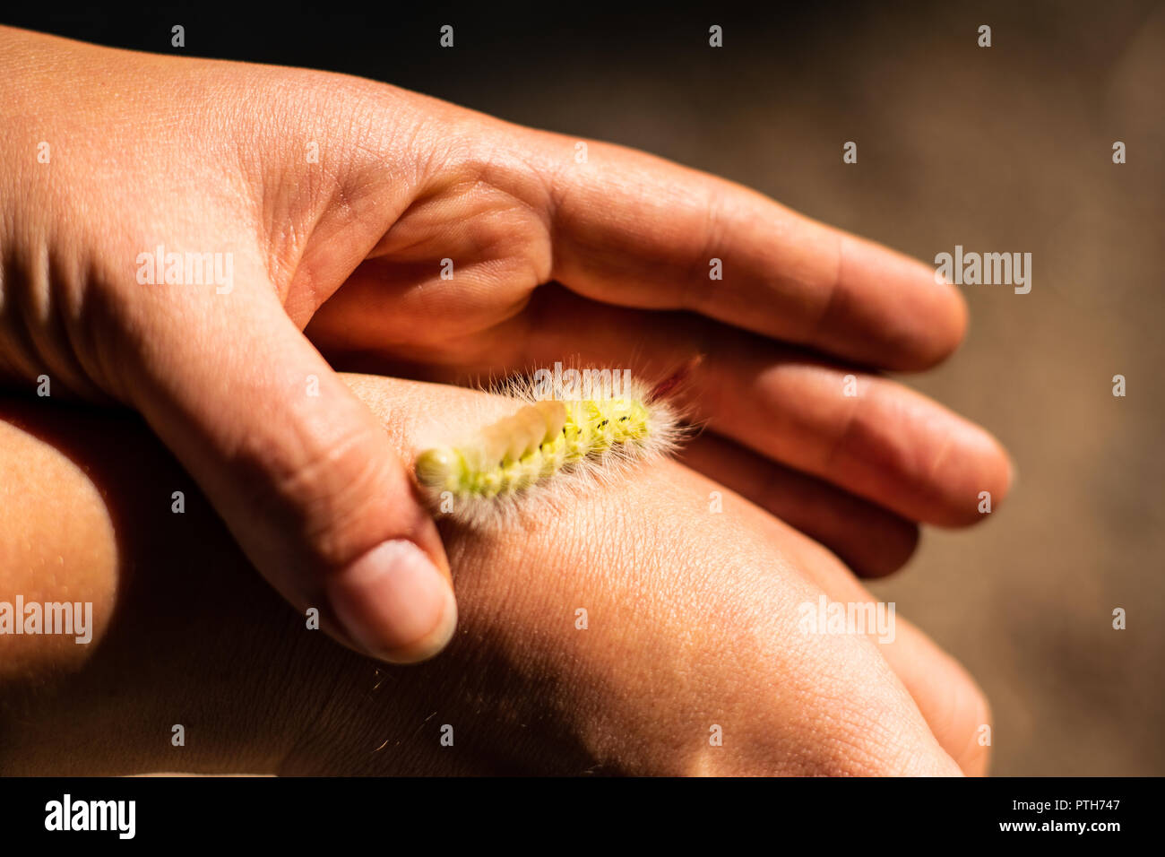 Caterpillar on a hand Stock Photo - Alamy