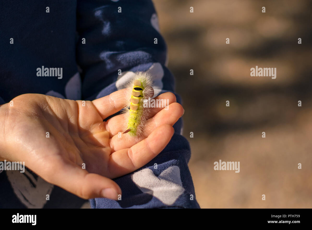 Caterpillar on a hand Stock Photo - Alamy