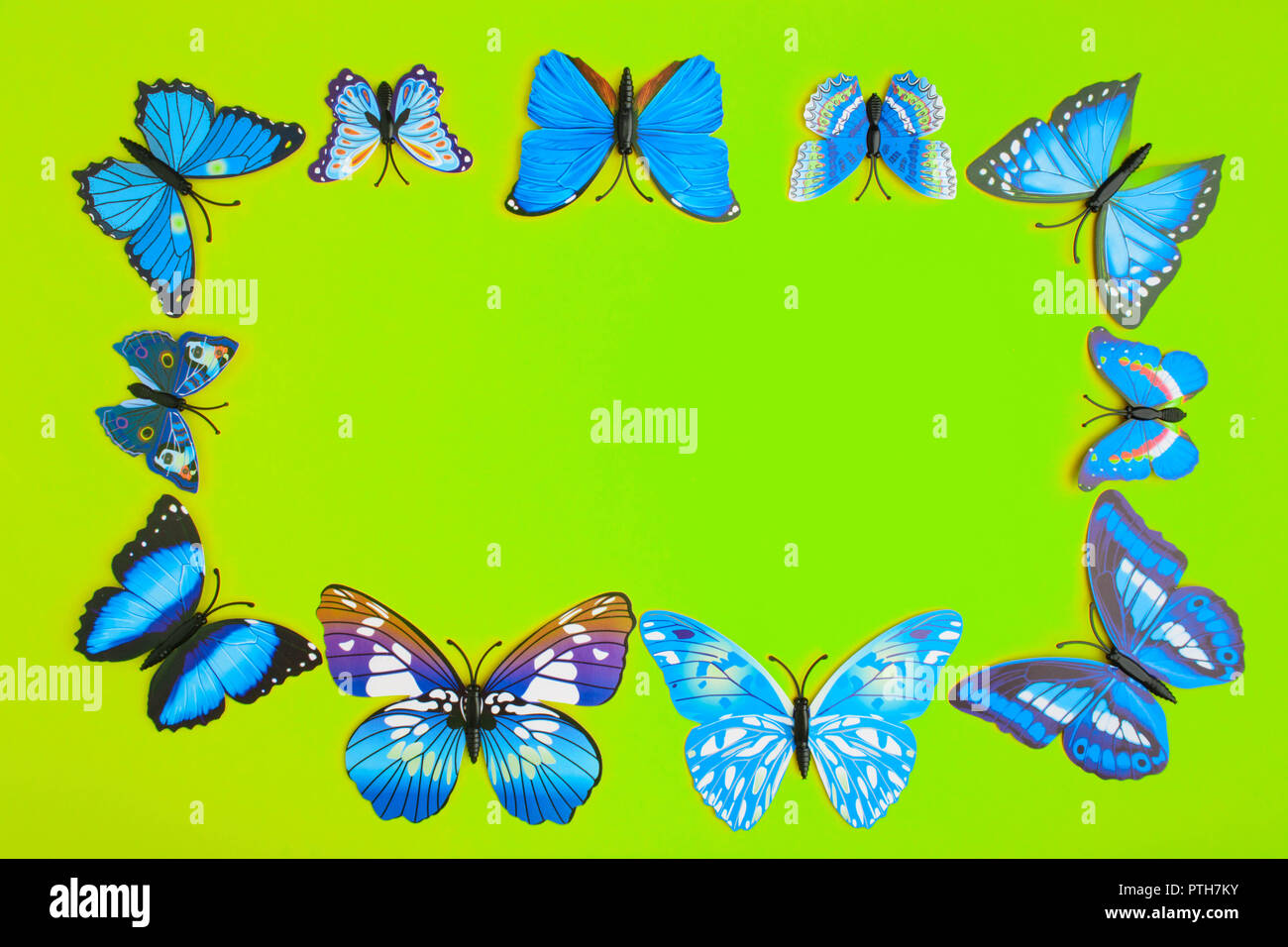 Frame of blue butterfly on green background with copy space, overhead ...