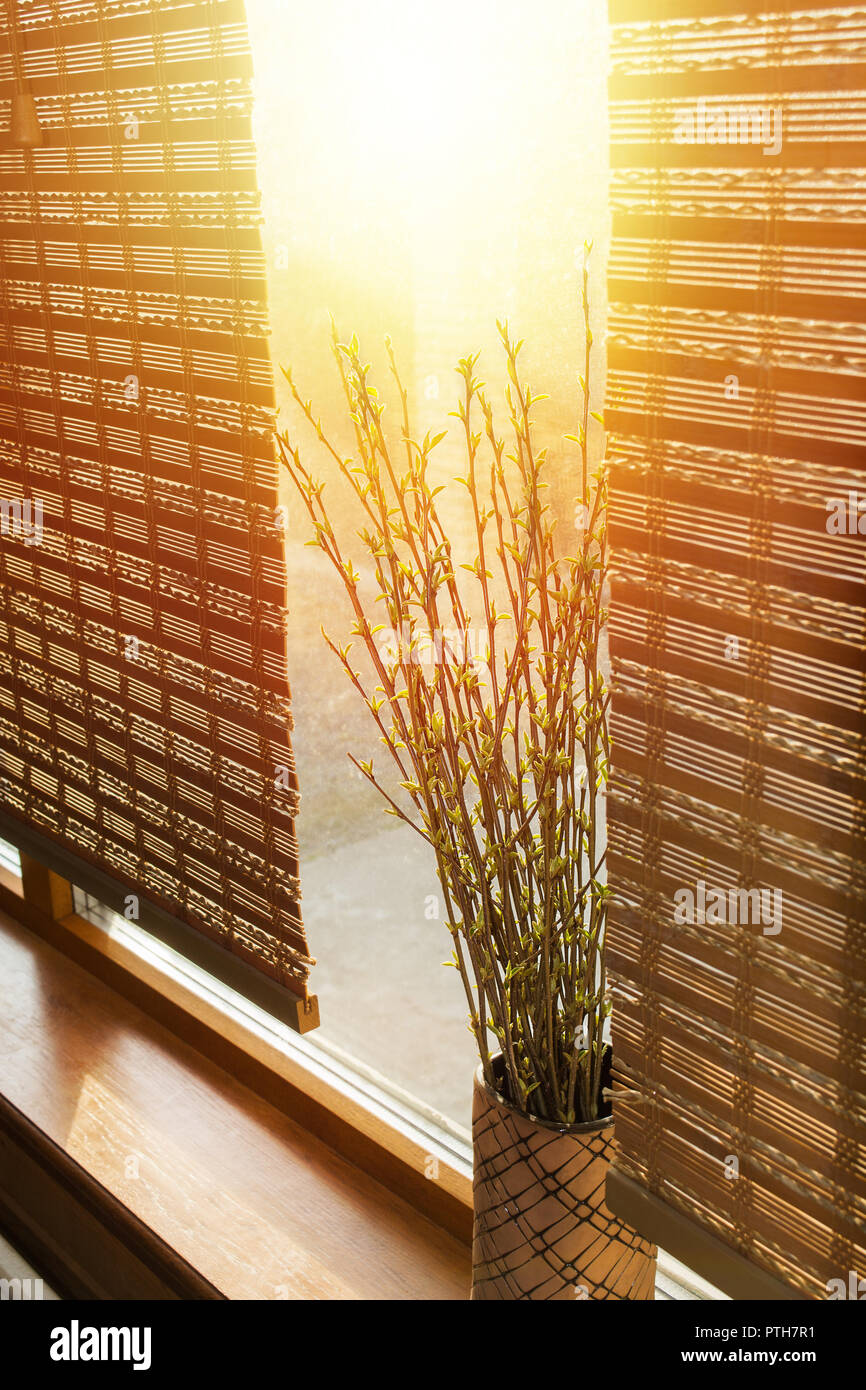 Morning sungllight through the window with come into to leaf branch ...