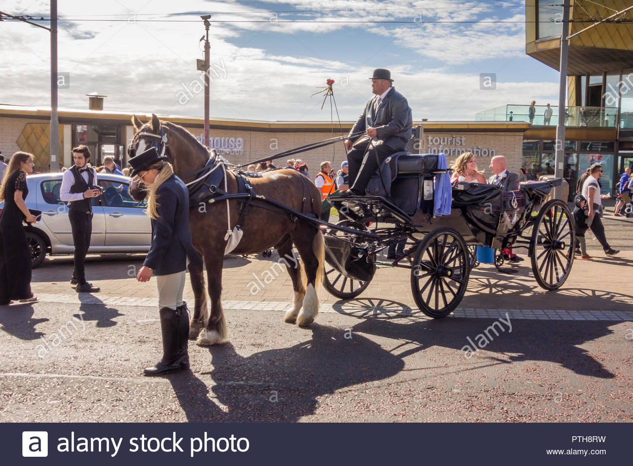 Lark Or Cart Pulled Horse High Resolution Stock Photography and Images ...