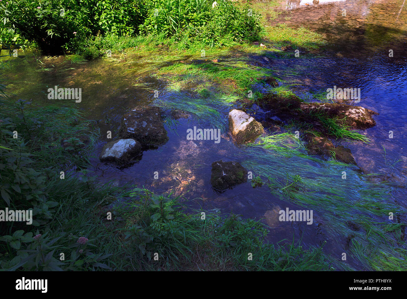 The river Lathkill flowing through Lathkill Dale below Over Haddon in ...