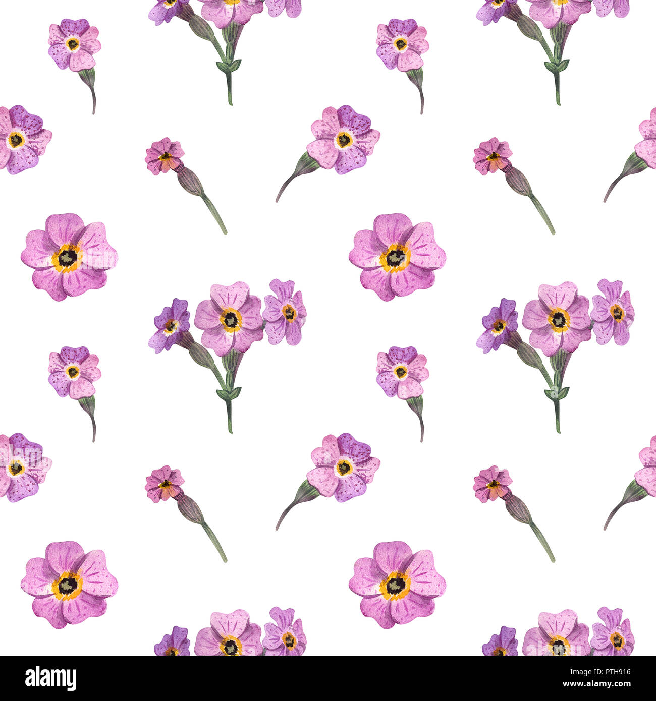 Wild plants of Scotland seamless pattern. Scottish primrose flowers ...