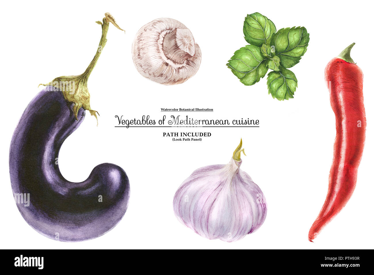 Modern watercolor botanical illustration. Set of vegetables for ...