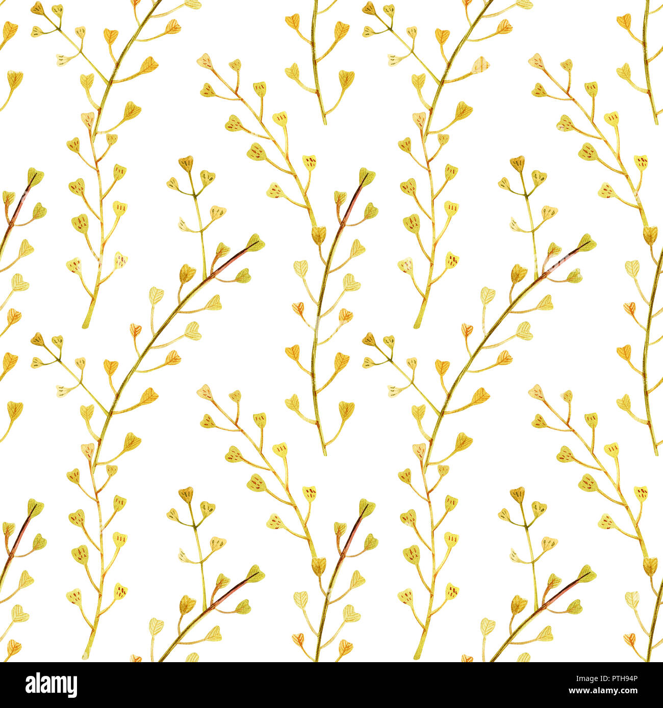 Yellow wild plants seamless pattern. Watercolor on a white backdrop ...