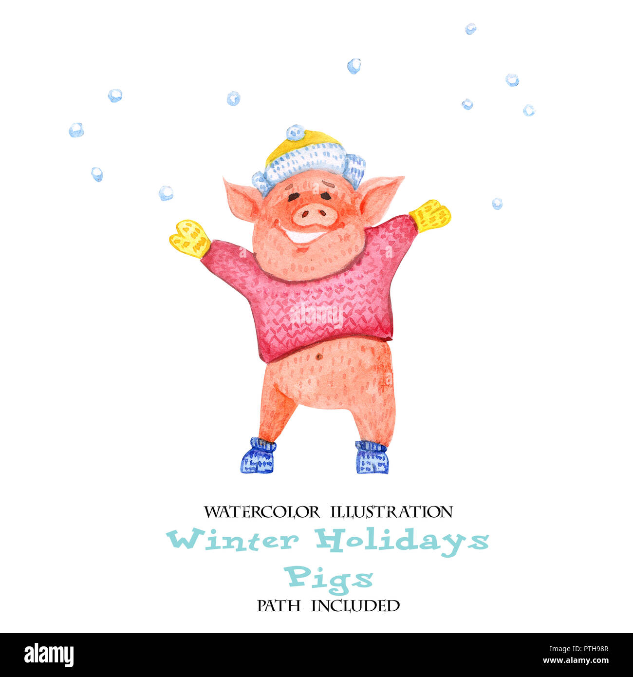 Illustration series Winter Holidays Pigs. Piggy throws snow. Watercolor ...