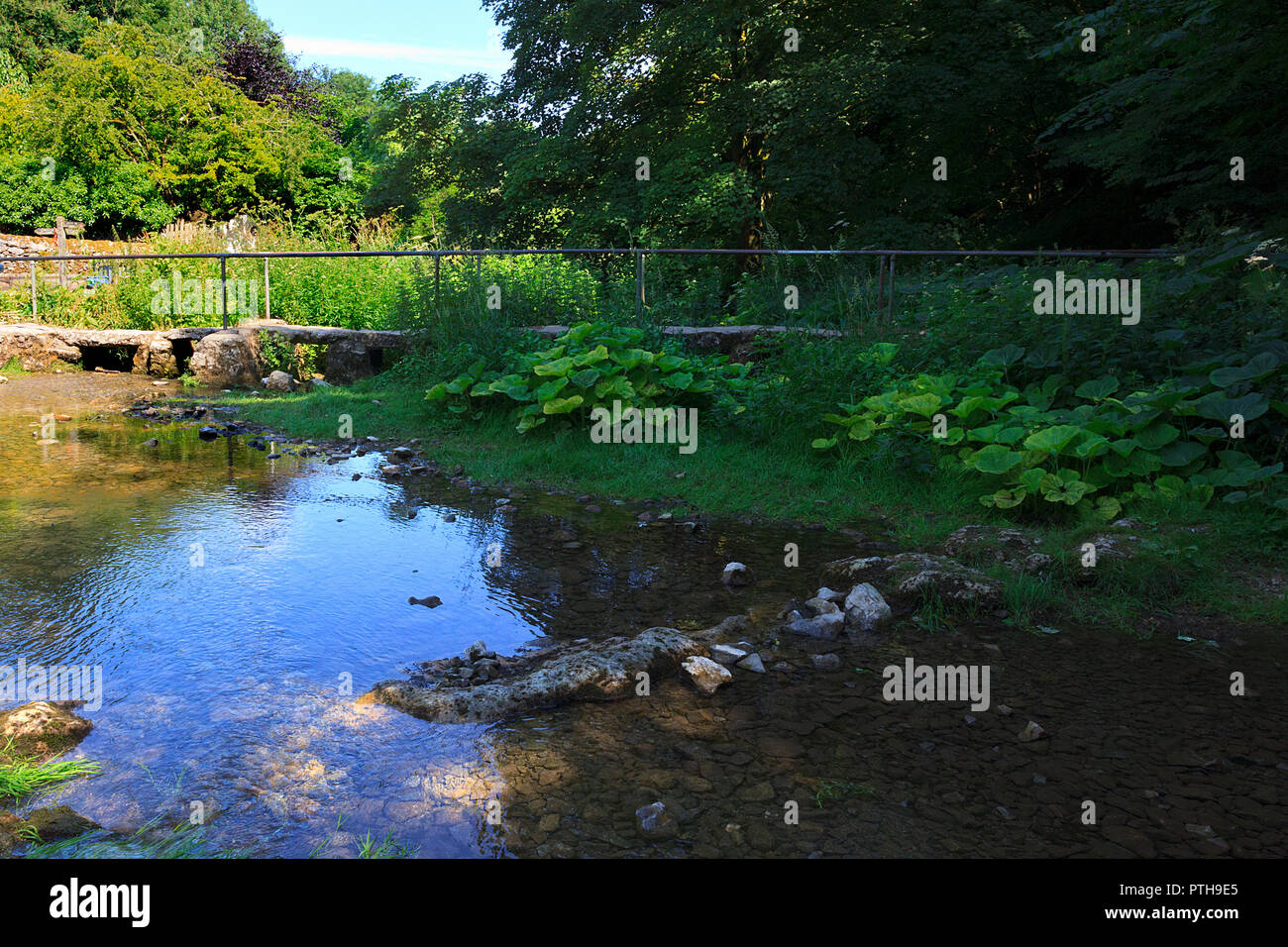 The river Lathkill flowing through Lathkill Dale below Over Haddon in ...
