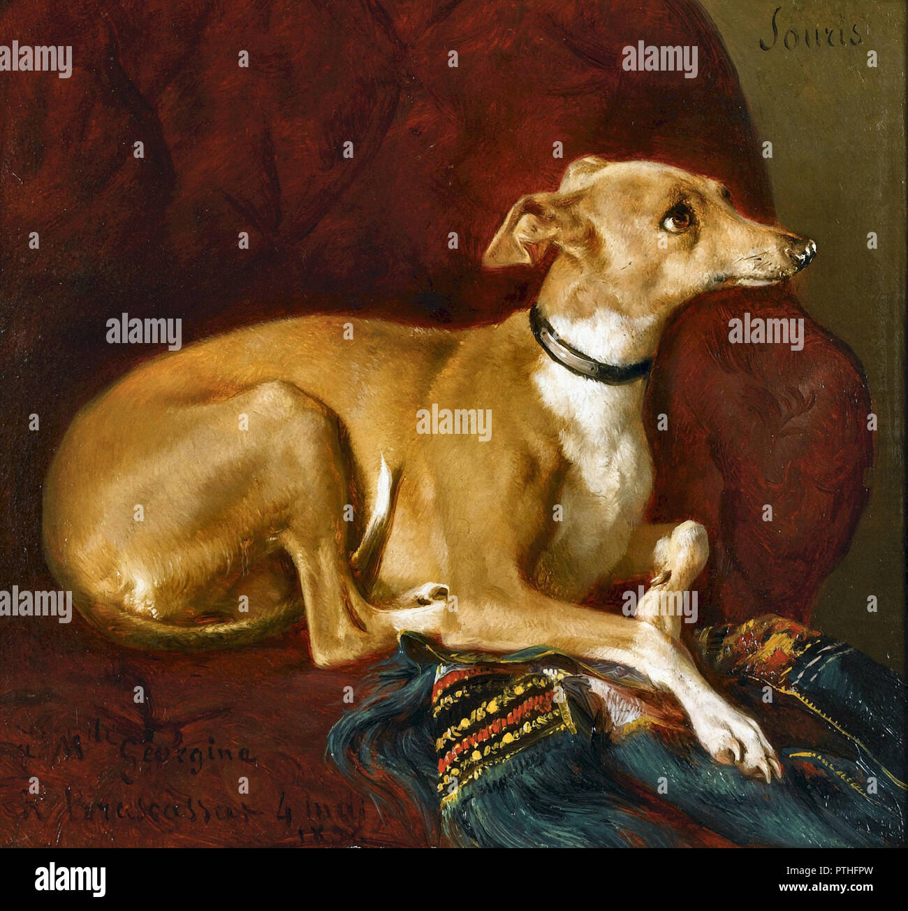 Brascassat Jacques Raymond - Un Lévrier Reposant Sur La Chaise Stock ...