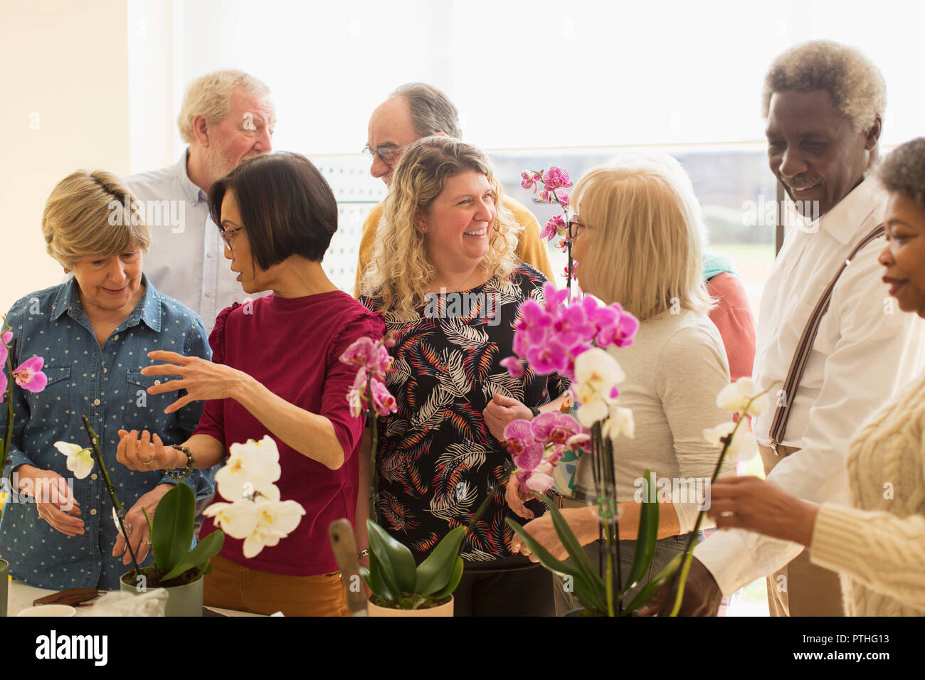 Active seniors enjoying flower arranging class Stock Photo - Alamy