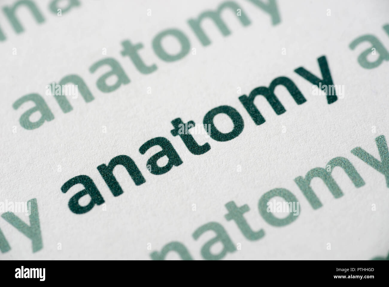 word anatomy printed on white paper macro Stock Photo - Alamy