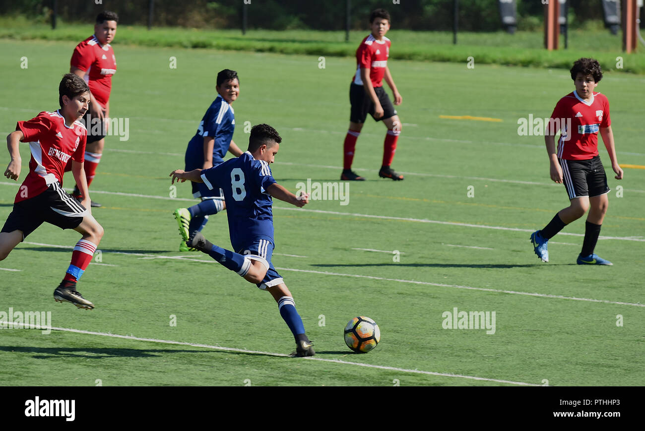 Organized soccer hi-res stock photography and images - Alamy