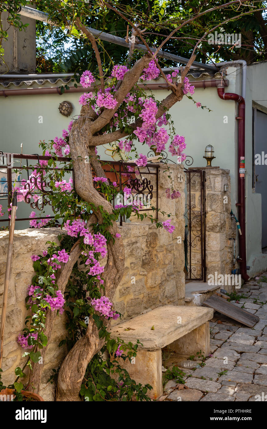 In the aisles of the mountain town of Archanes on the island of Crete ...
