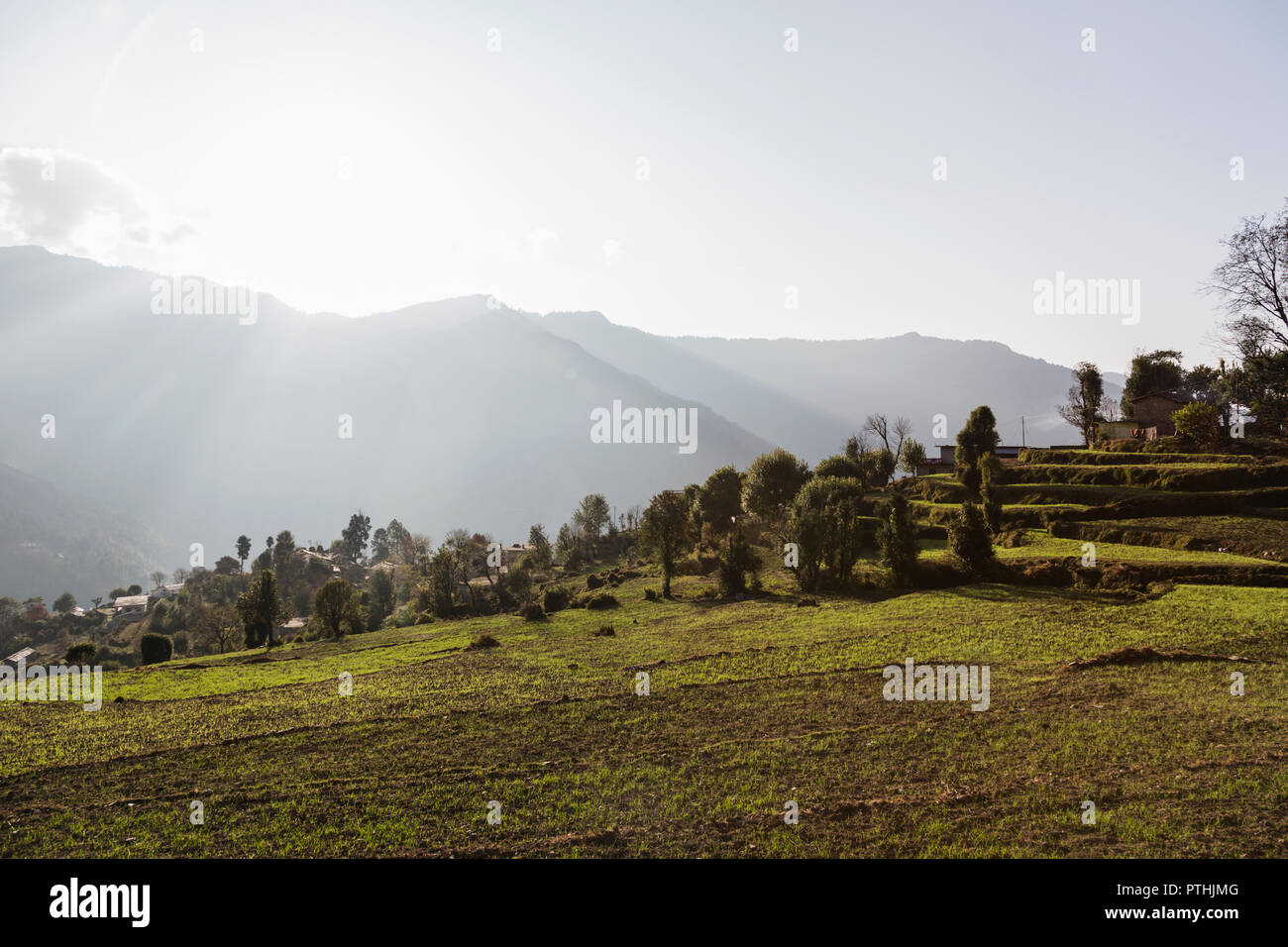 Sunny, tranquil scenic view, Supi Bageshwar, Uttarakhand, Indian ...