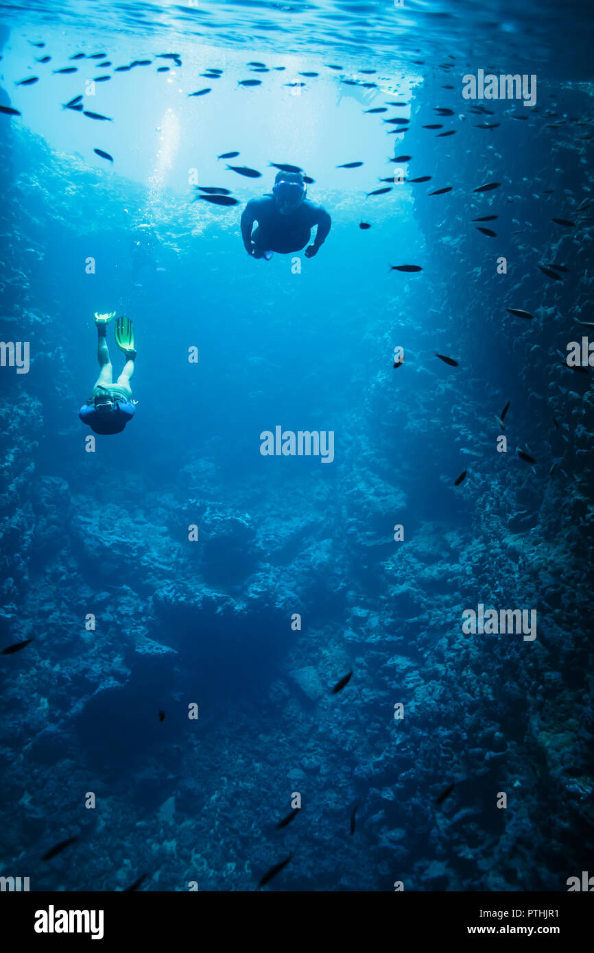 Man and woman snorkeling underwater among fish, Vava'u, Tonga, Pacific ...