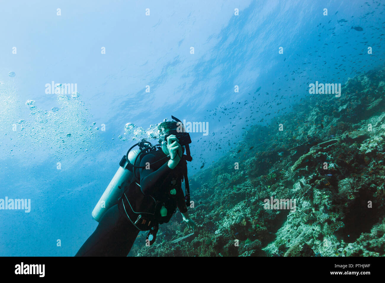 Photographing underwater hi-res stock photography and images - Alamy