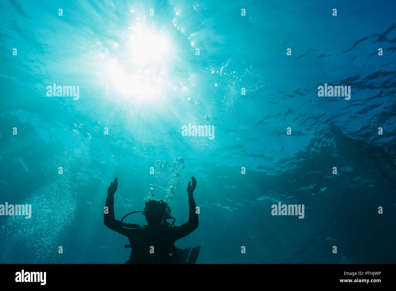 Woman scuba diving underwater, Vava'u, Tonga, Pacific Ocean Stock Photo ...