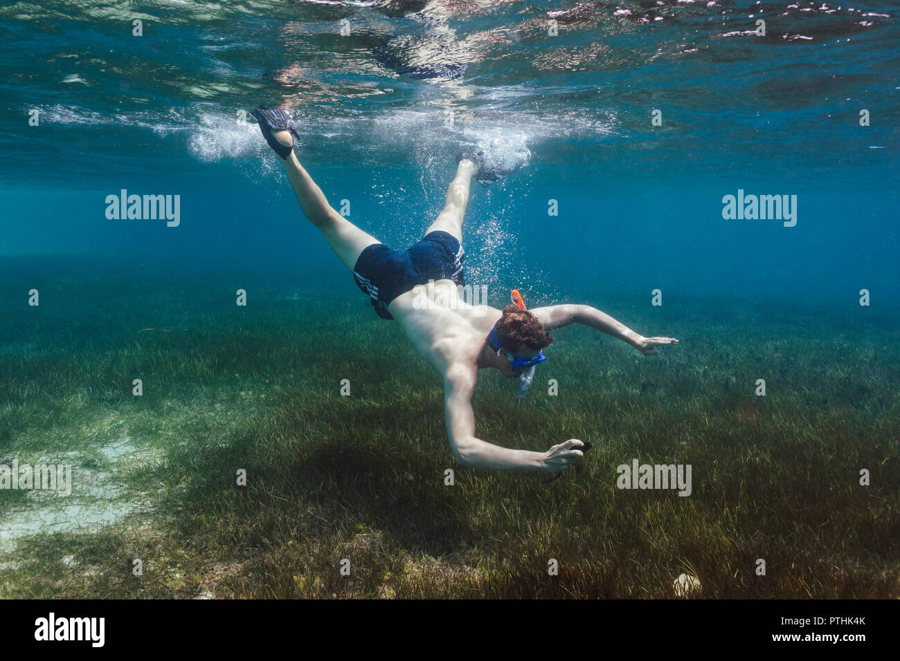 Young man snorkeling underwater, Vava'u, Tonga, Pacific Ocean Stock ...