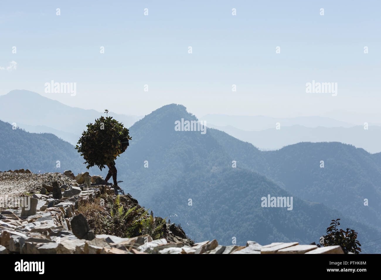 Indian man walking side view hi-res stock photography and images - Alamy