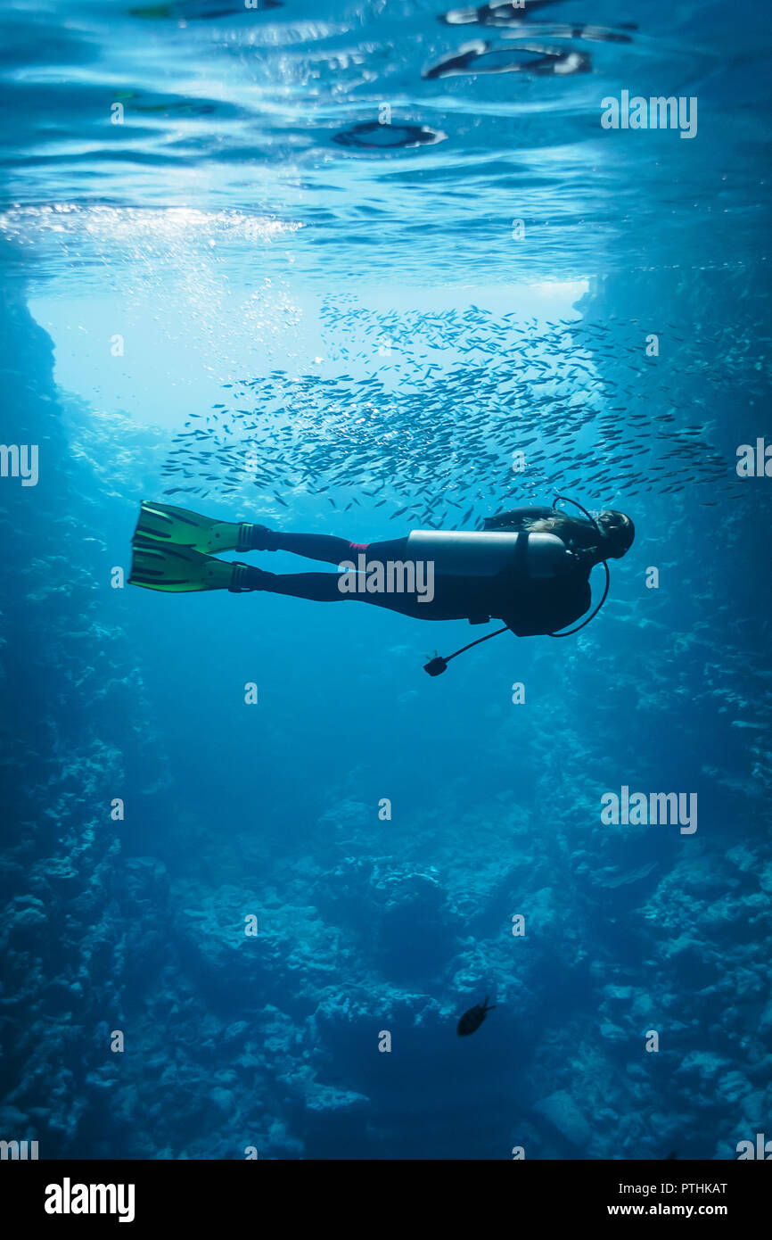 Young woman scuba diving underwater among school of fish, Vava'u, Tonga ...