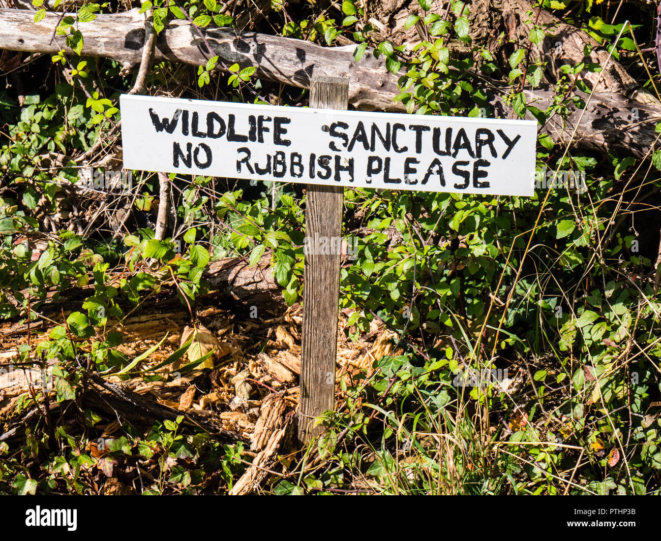 Clifton Lock, on the River Thames, Oxfordshire, England, UK, GB Stock ...