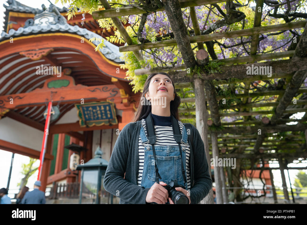 an elegant lady looking up at the flowers with her slr camera in her ...