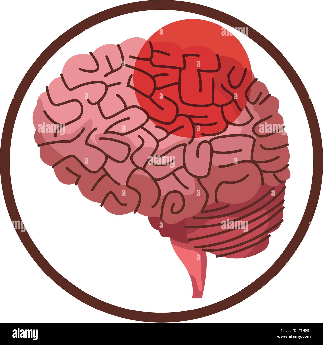 Alzheimer Brain Stock Photos & Alzheimer Brain Stock Images - Alamy