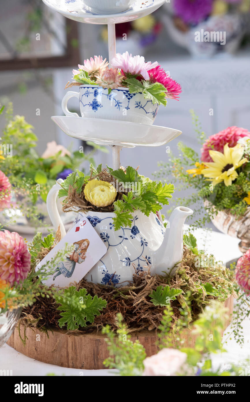 Alice in wonderland Floral display in cups. England Stock Photo - Alamy