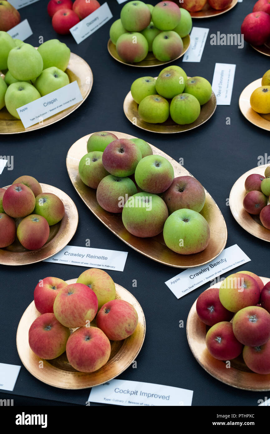 Types Of Apples List