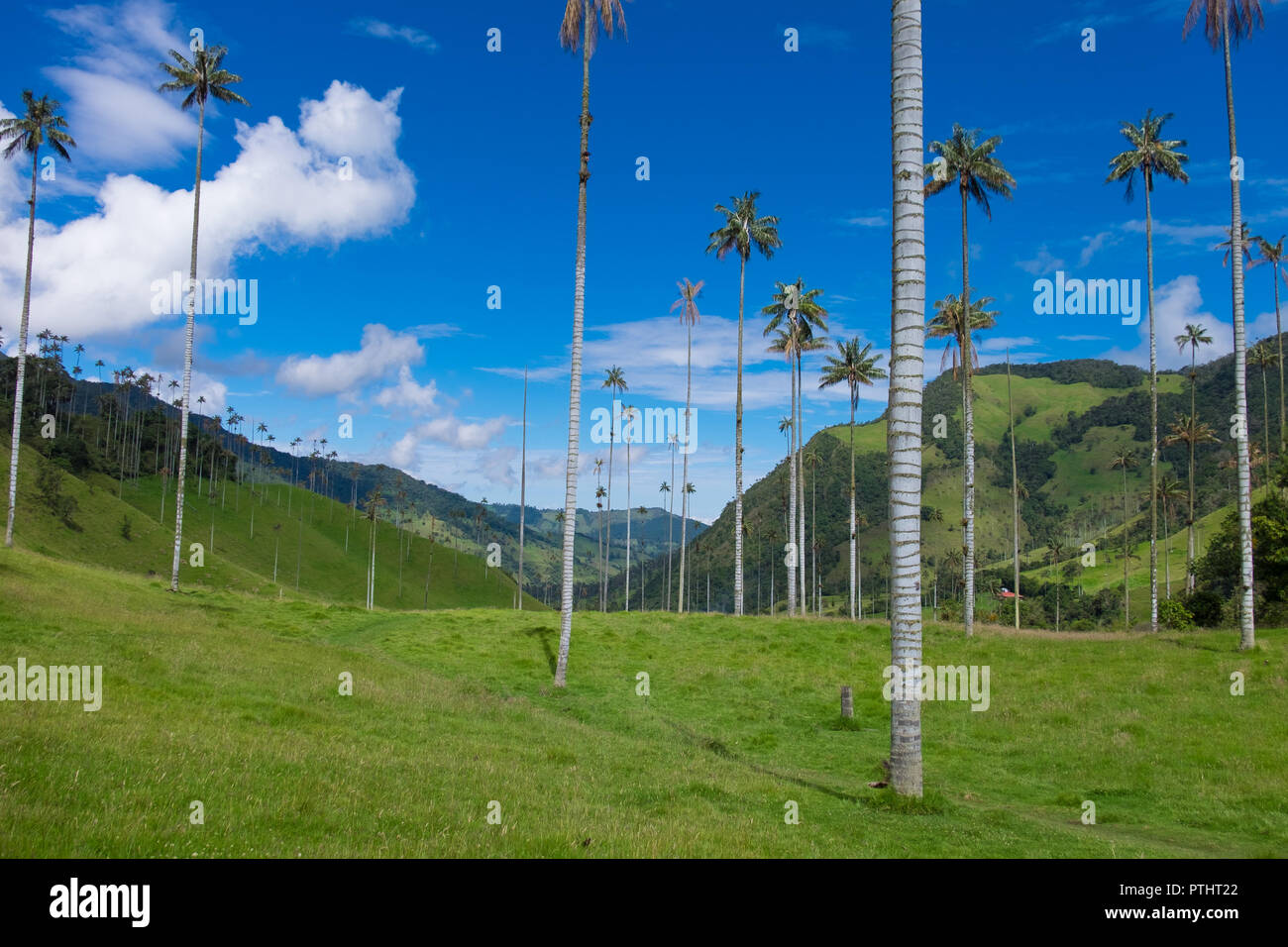 Landscape trees culture hi-res stock photography and images - Alamy