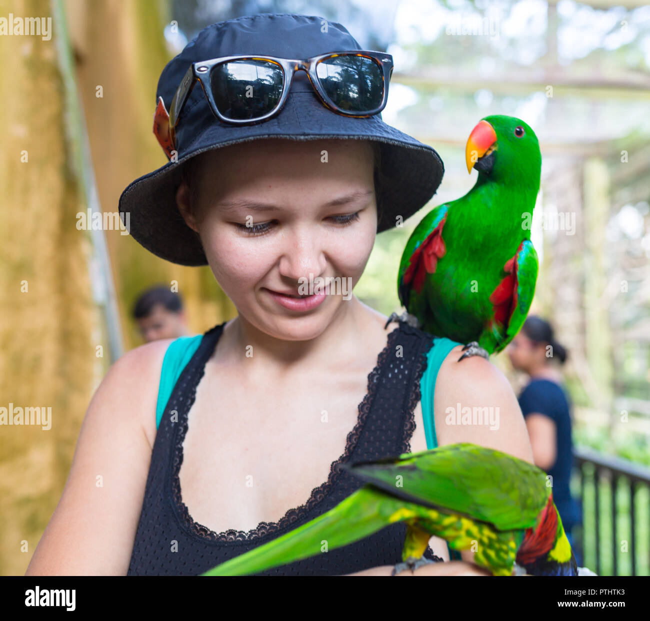 Happy young woman with parrot sitting on her shoulder. Exotic animals ...