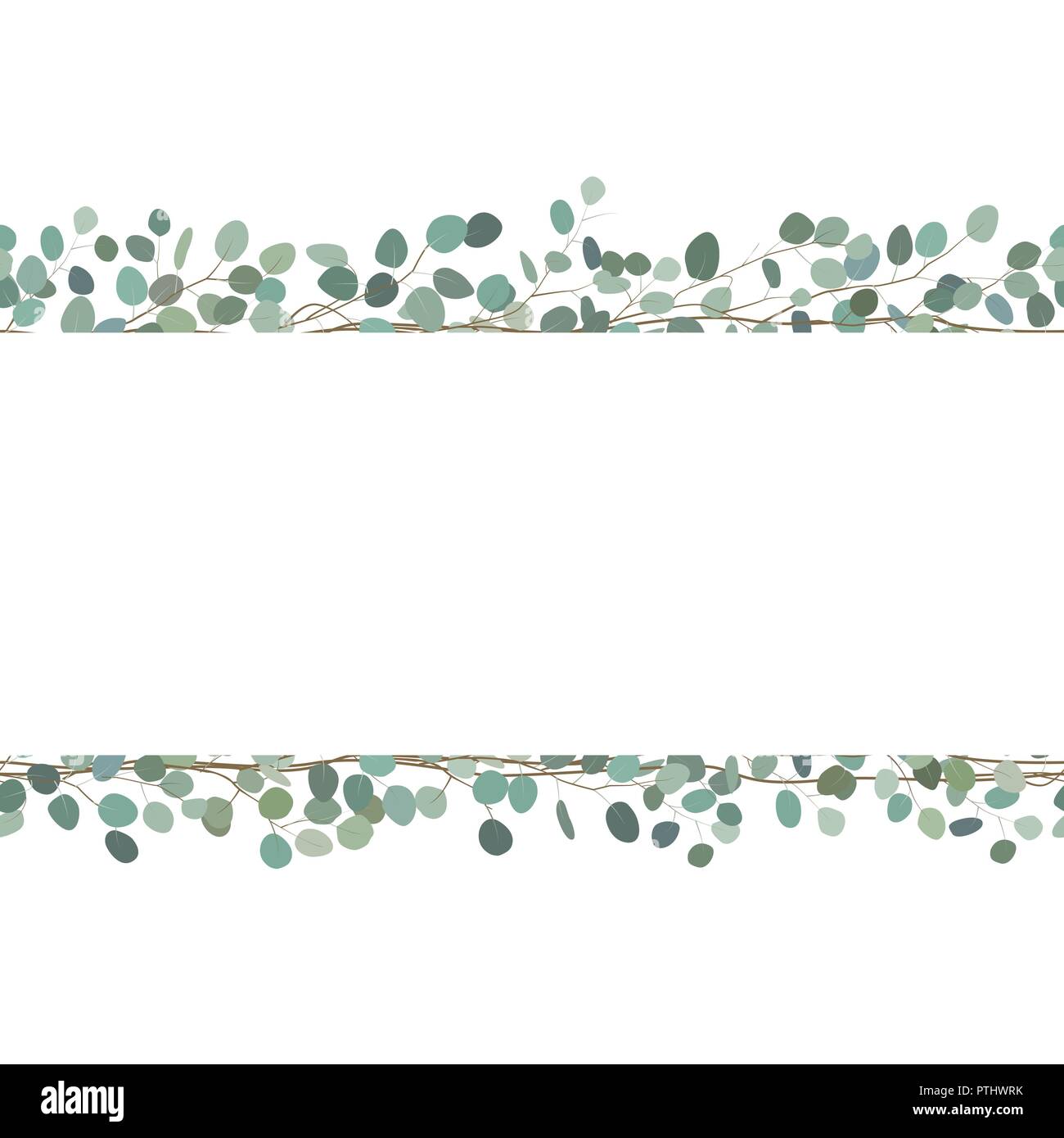 Elegant Text Borders