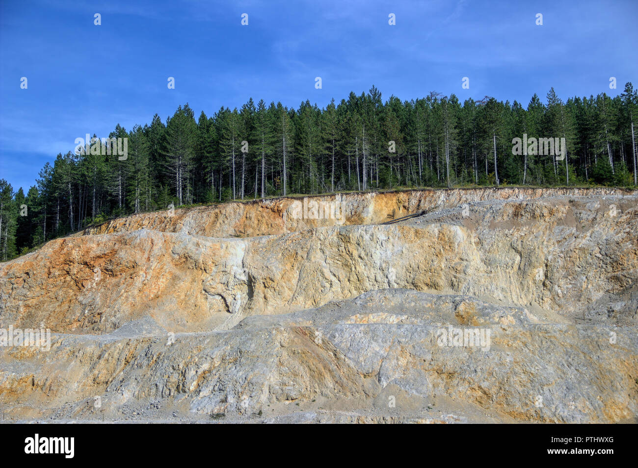 Montenegro - Dense evergreen forest on the edge of the quarry Stock ...