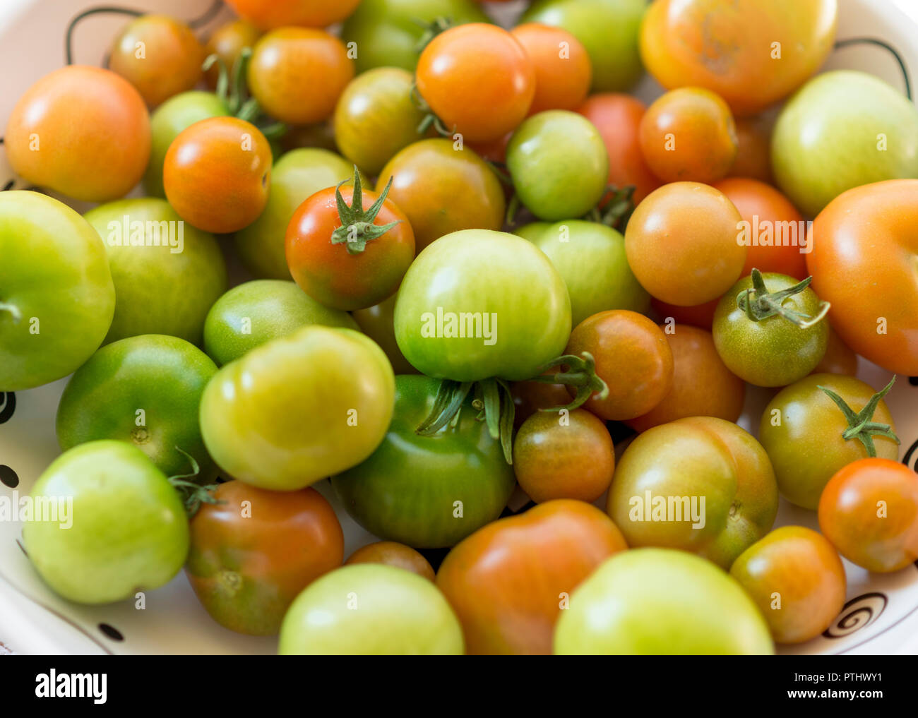 Home grown tomatoes Stock Photo - Alamy