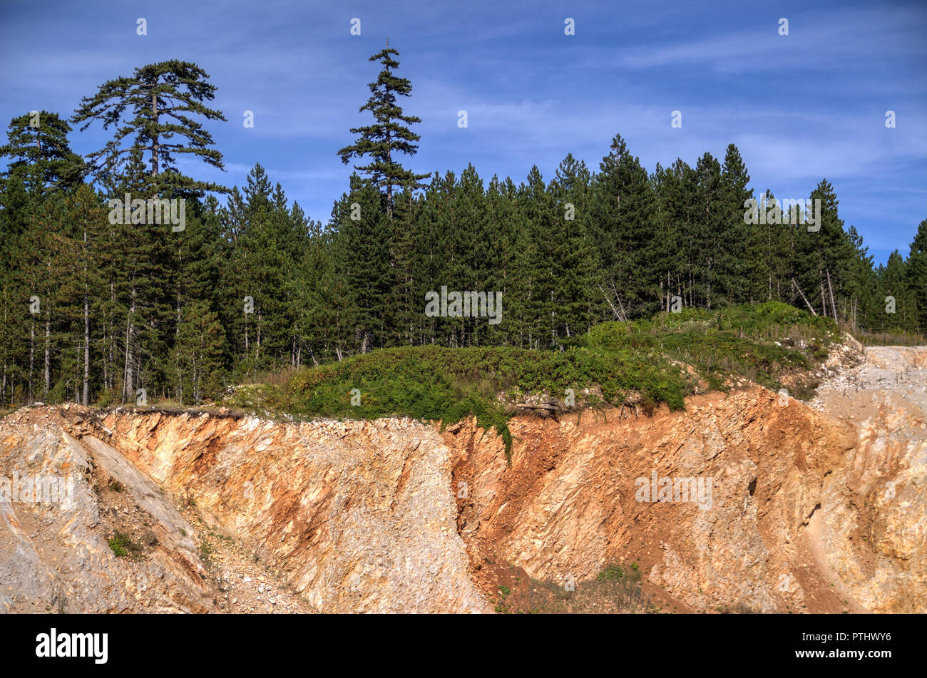 Montenegro - Dense evergreen forest on the edge of the quarry Stock ...
